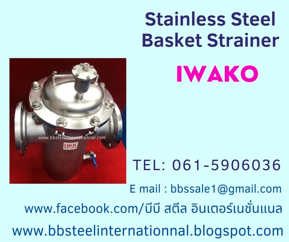 Fabricted Basket Filter (Basket Strainer) "IWAKO" - www.bbsinter.com